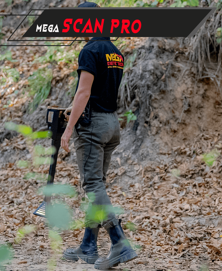 Gold Detectors 2024 | Best Professional Metal Detectors